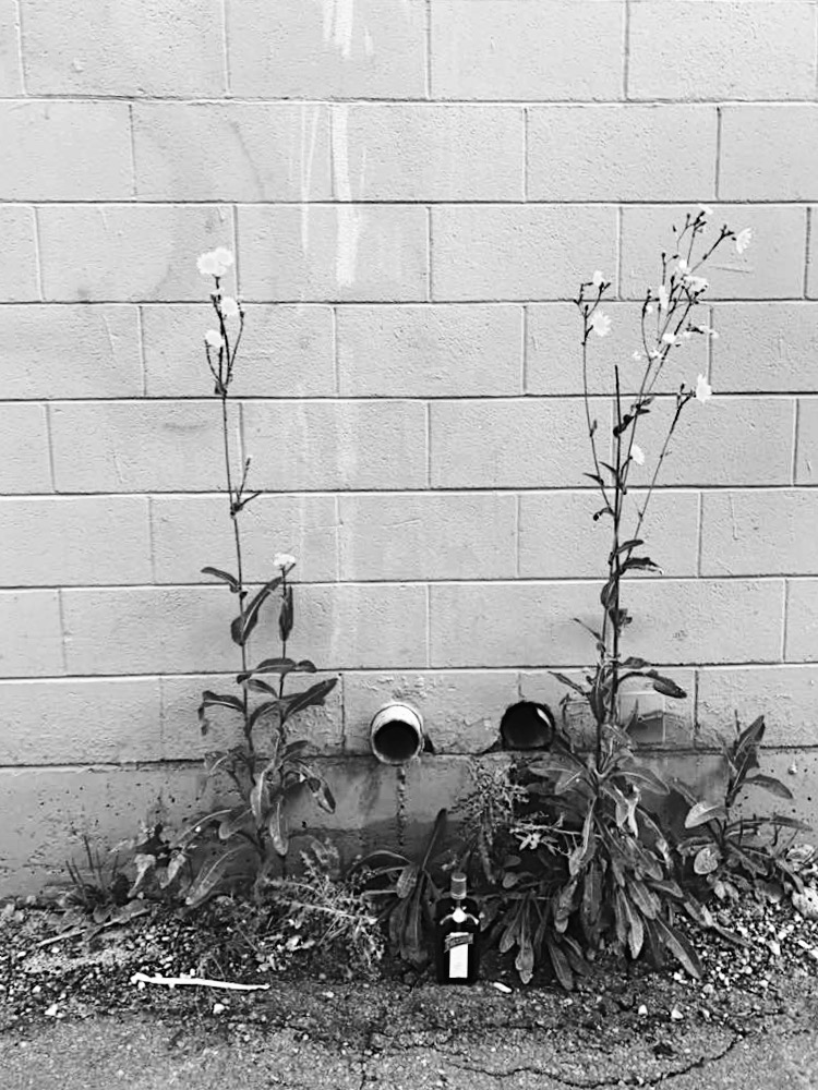 Emily Brouwer ART2031A