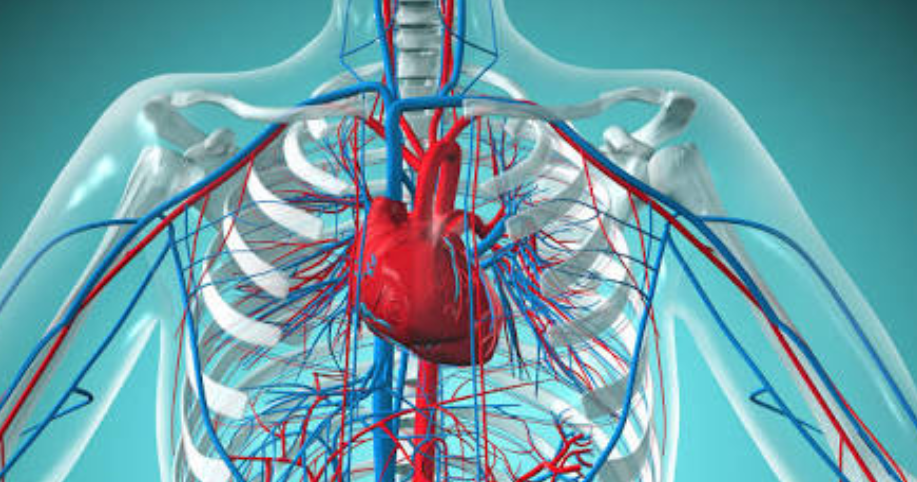 CVS (CARDIO VASCULAR SYSTEM): CASES, ESSAYS AND SHORT NOTES - 4TH MBBS ...