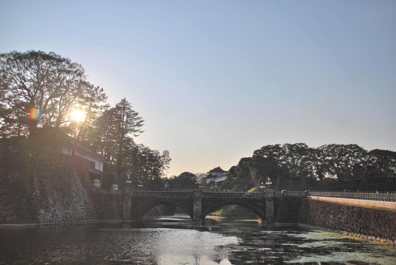 Woody at Home: Cherry Blossom @Tokyo Imperial Palace
