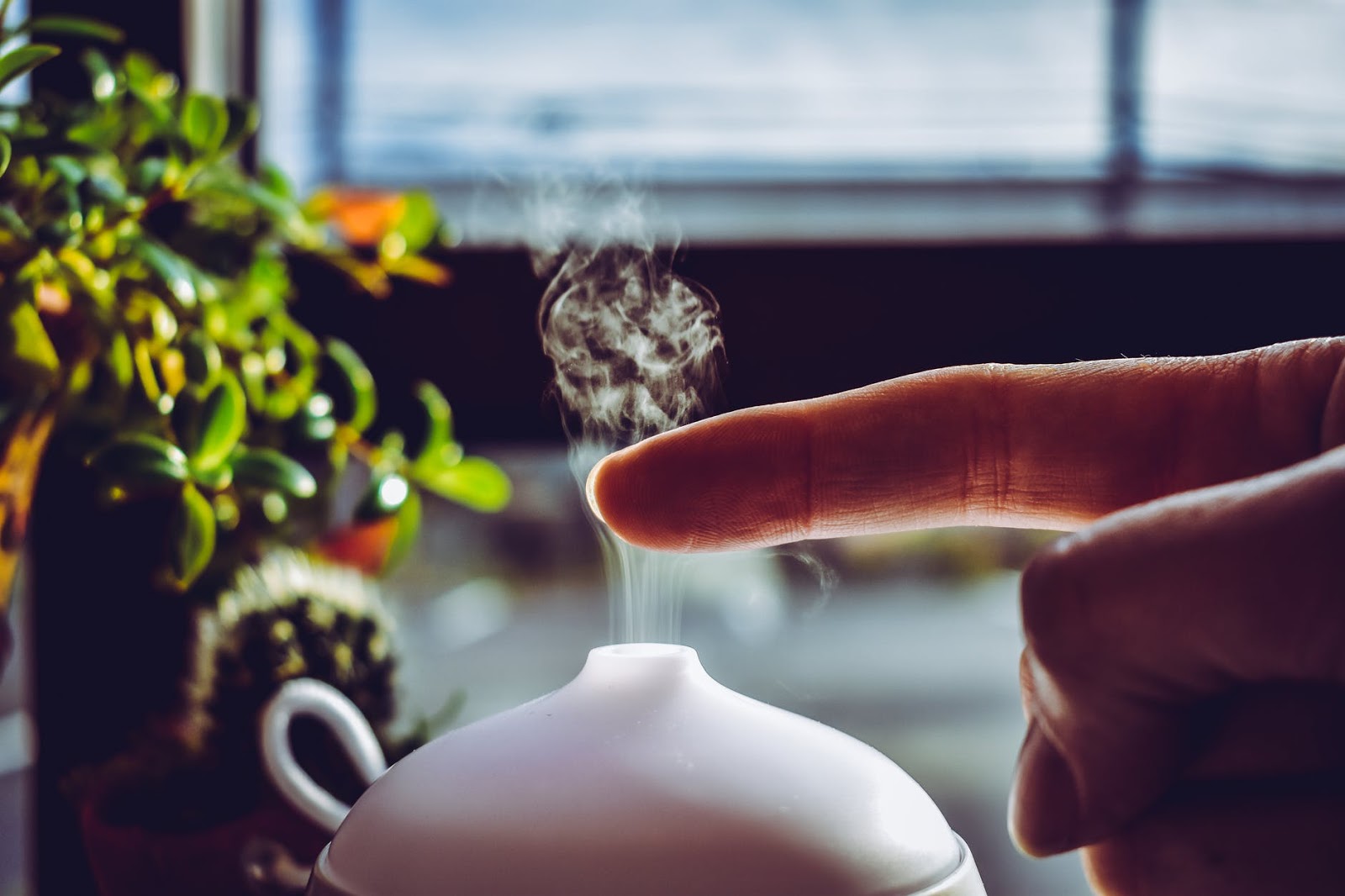 How to Use an Essential Oil Diffuser Like a Pro