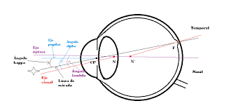 Optometría : ENDOFORIA BÁSICA