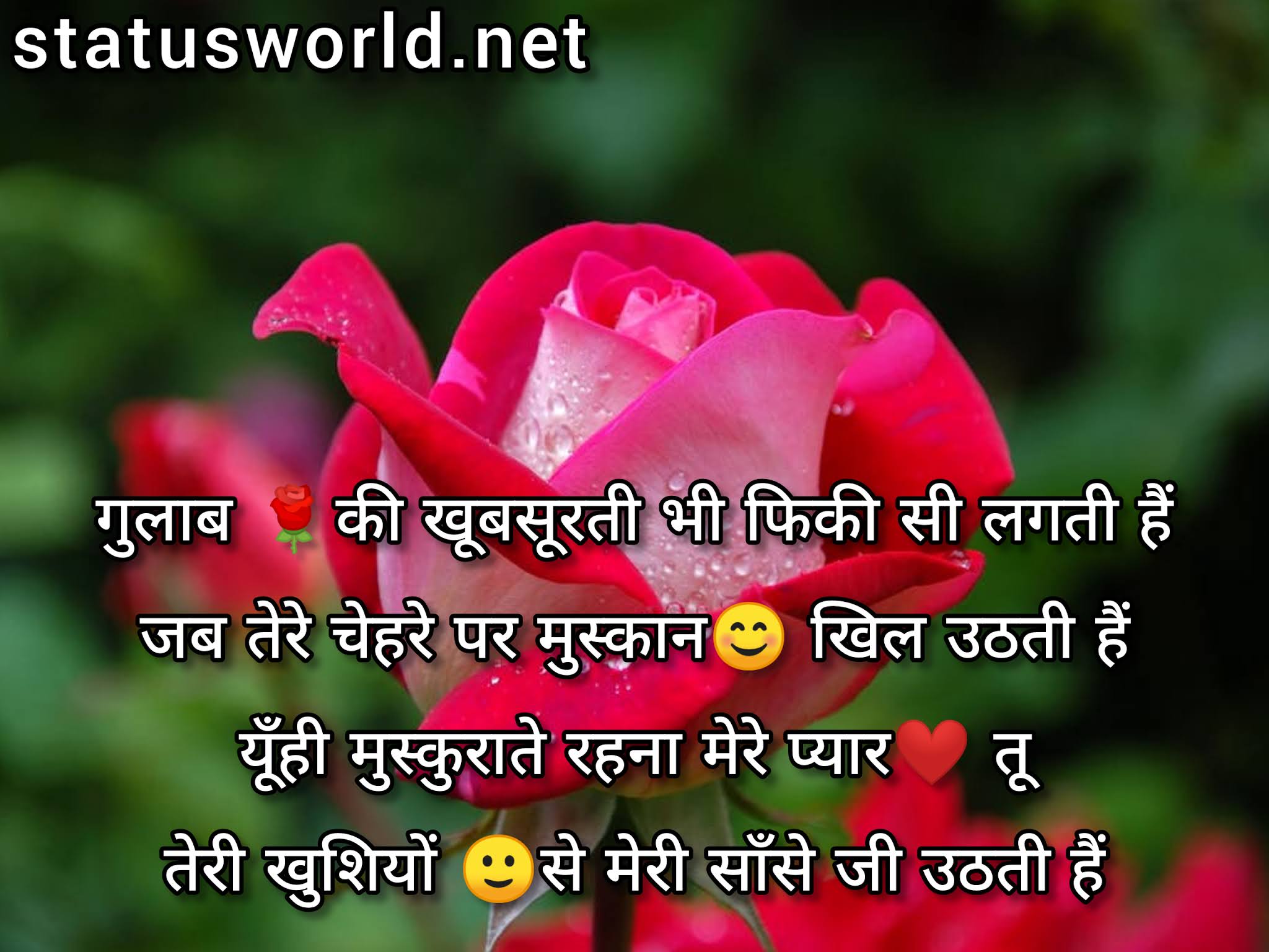 Happy Rose Day 2021, Rose Day Shayari, WhatsApp Rose Day Status ...