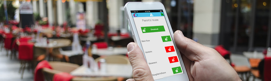 Guia programacion Connect Alarm DSC y APK Neo Go