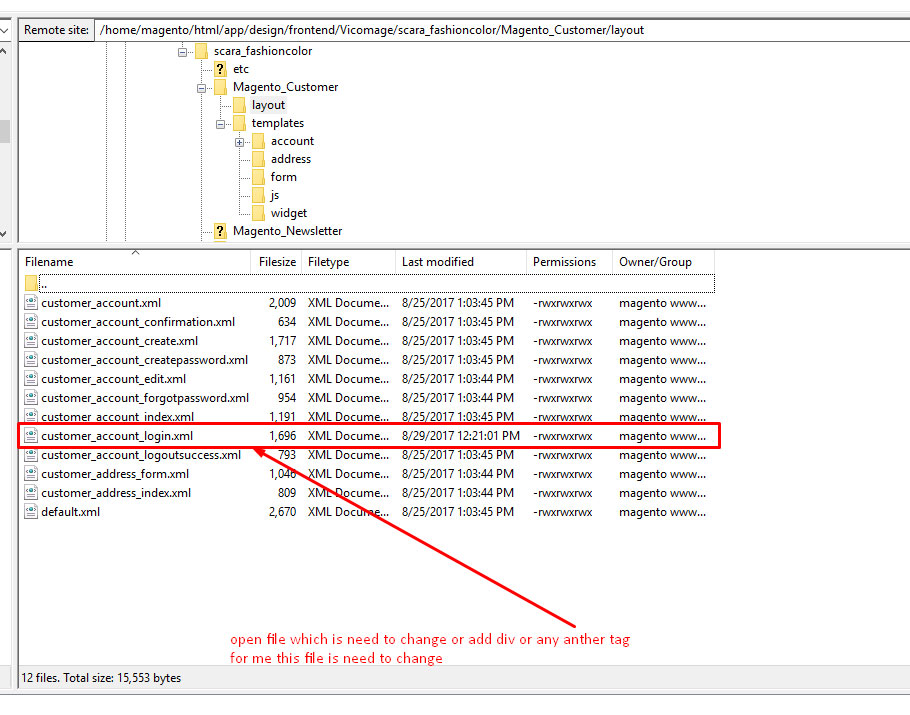 How To Add Custom Tag In Magento 2 Using Xml File