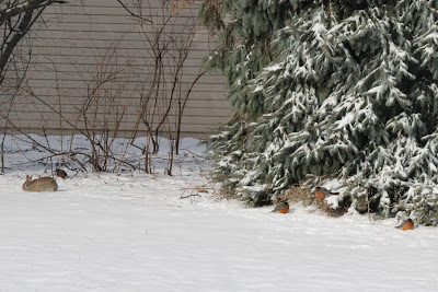 To Behold the Beauty: Remembering Snow