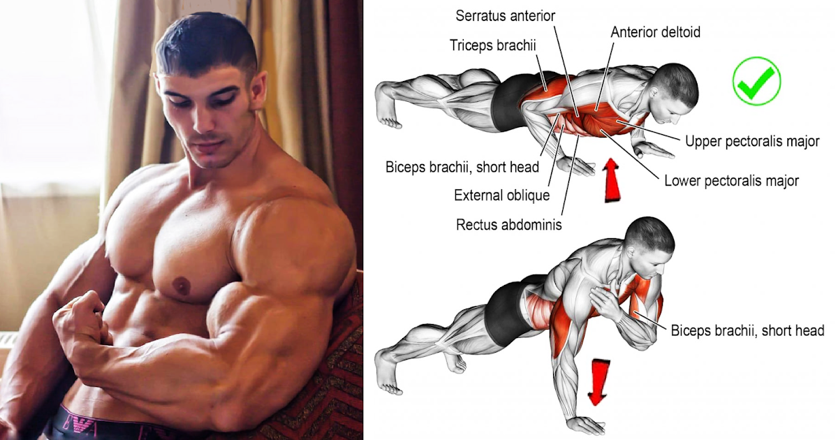 7 Exercises To Build And Gain Muscle Mass At Home Fitness Freak 7-exercises-to-build-and-gain-muscle-mass-at-home-fitness-freak