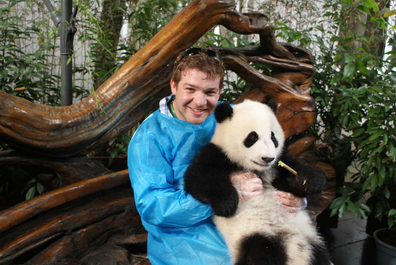 Michelle and Gareth's travel blog: Cuddling a Giant Panda