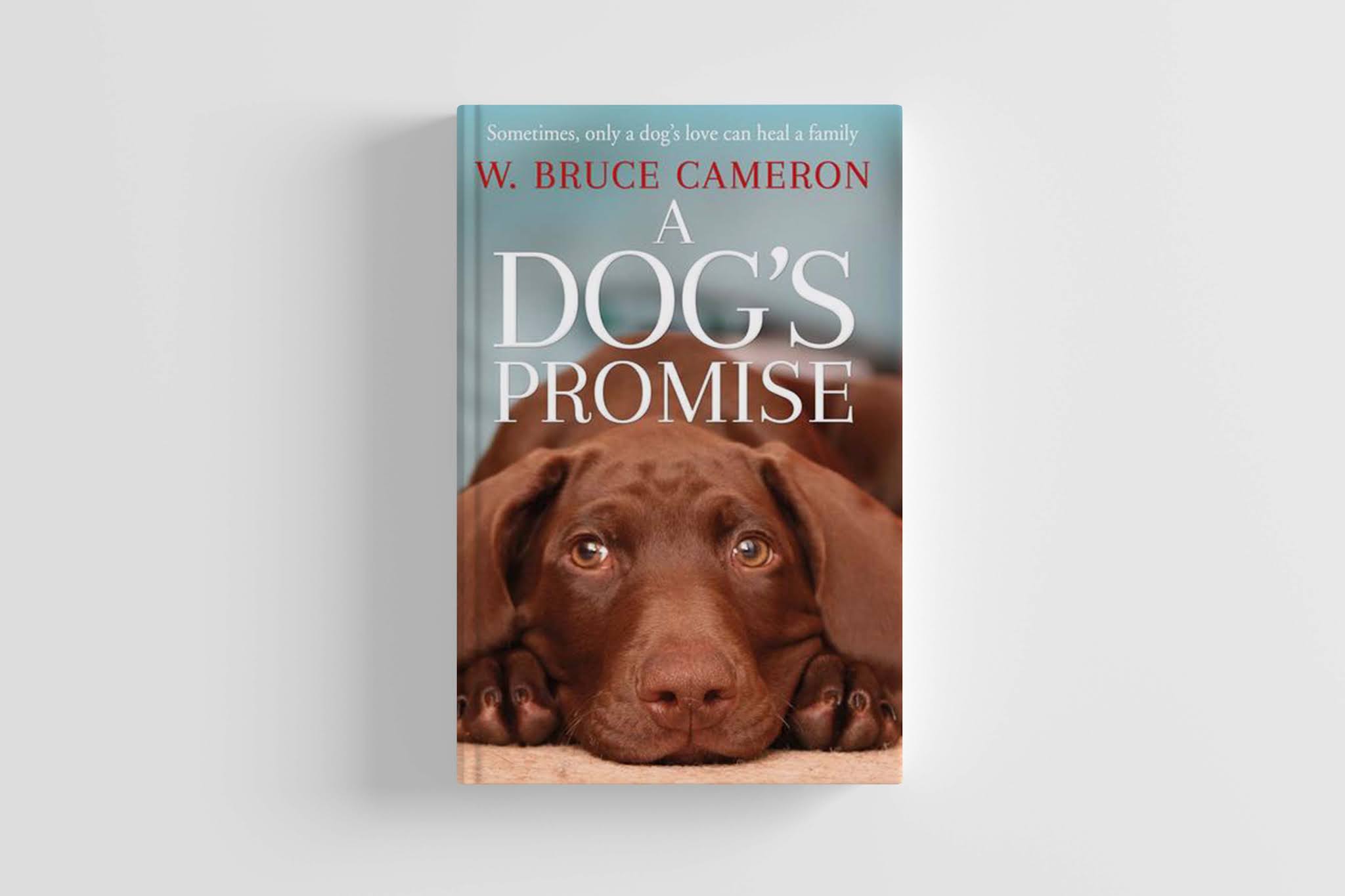 Dog Related Book Cover Design | All New Job Circular and Educational News