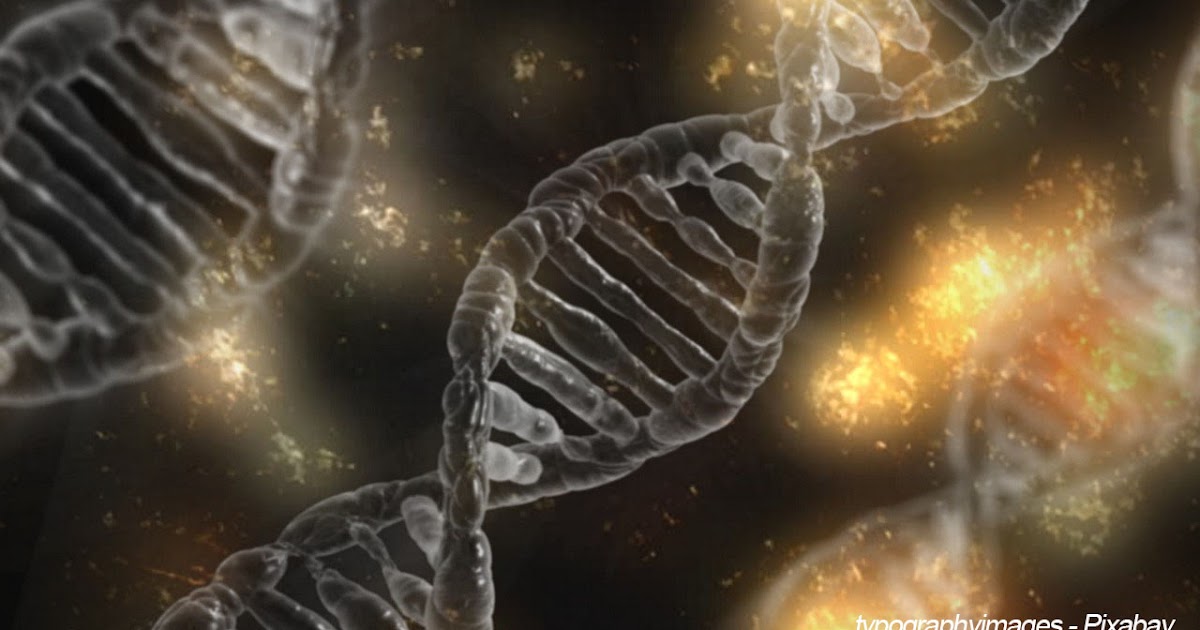 Les Billets Scientifiques de Mahé: CRISPR : de la découverte à l’humain ...