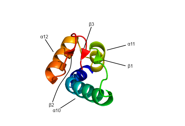 TREX-2 Transcription-Export Complex: The Sac3-Thp1-Sem1 Complex