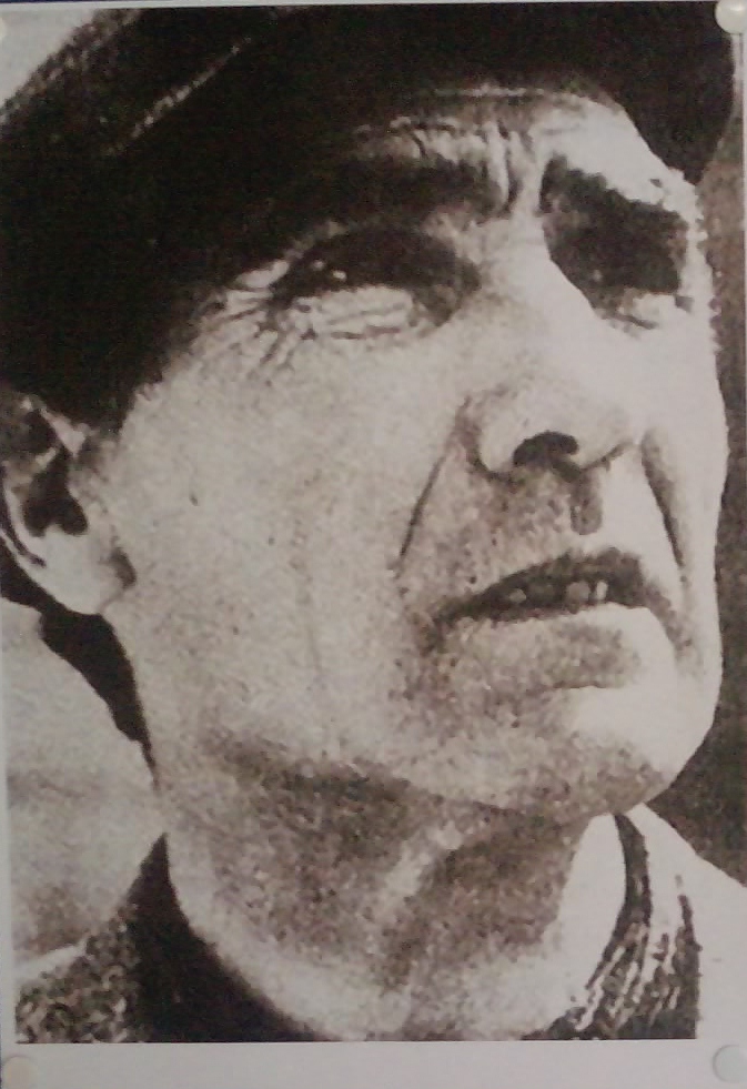 LER NÃO É CRIME: Alves Redol - Autor de Dezembro