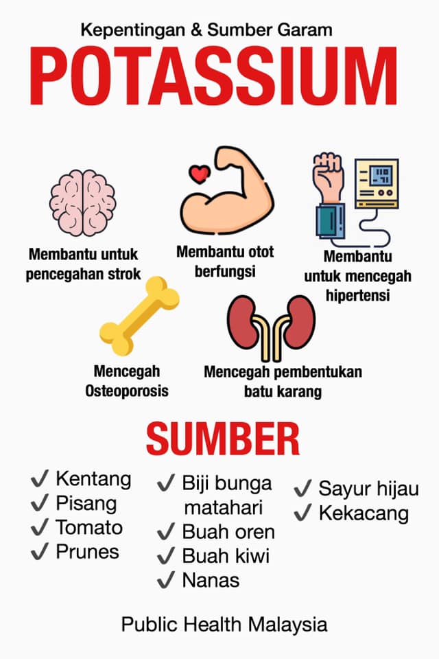 Apa Itu Potassium?