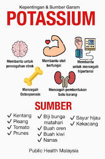 Apa Itu Potassium?