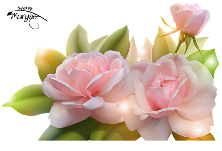 PSP Tubes & créations de Maryse: Tubes Fleurs