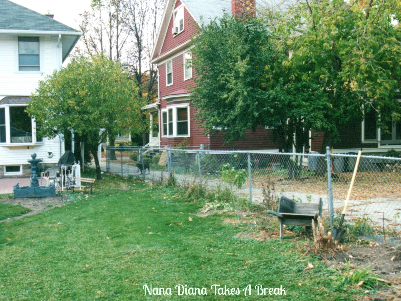 NANA DIANA TAKES A BREAK