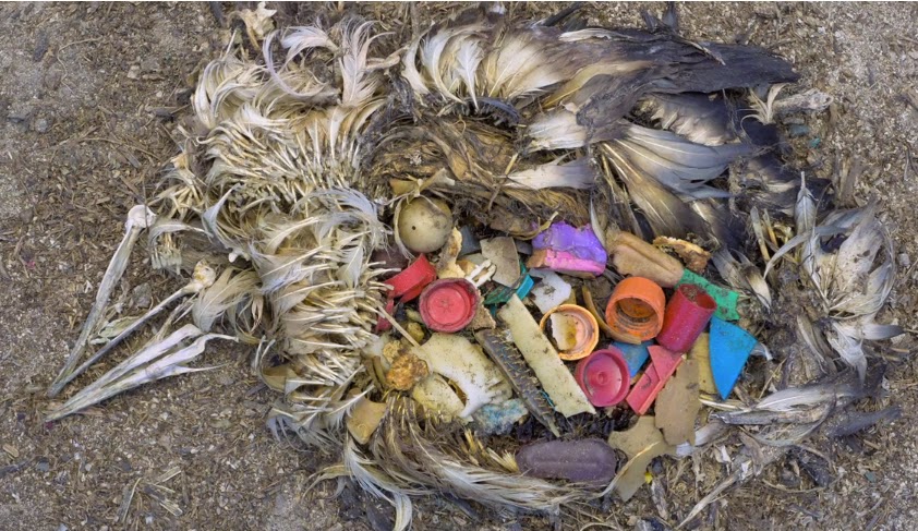 Universal Map of Doom: Apocalyptic Documentary Films