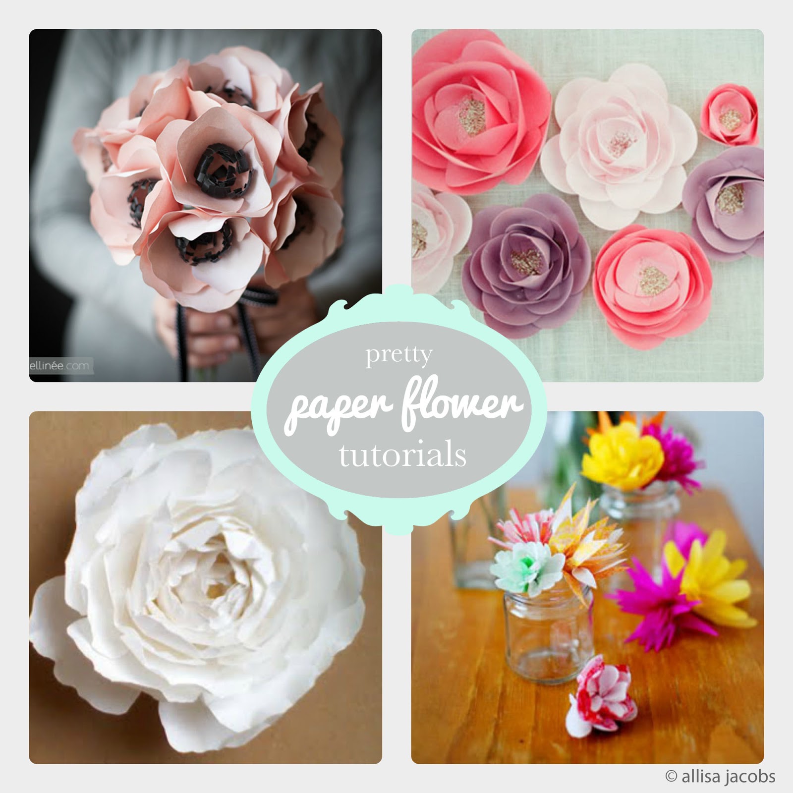 Allisa Jacobs: Pretty Paper Flower Tutorials