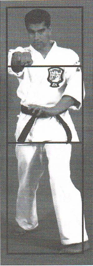 Dimensional Zones in Kenpo Karate – UMAS