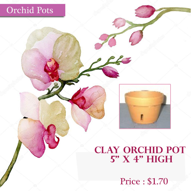 Beautiful Orchid Pots to Decorate Your Home