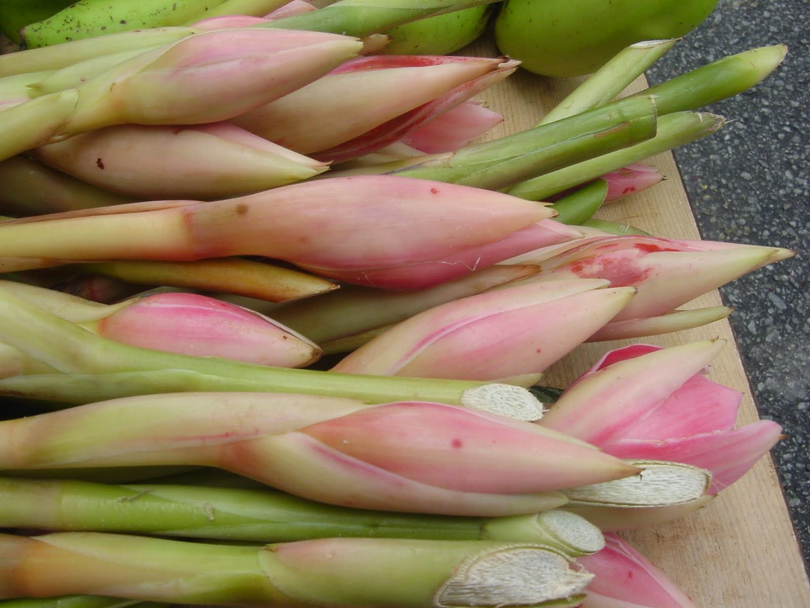 Khasiat bunga kantan | Sibersensasi