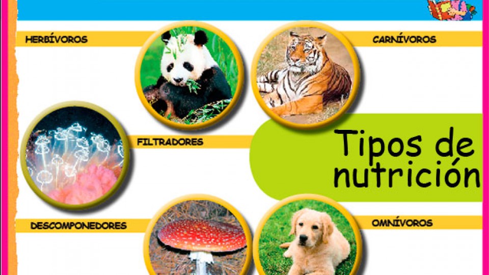 LERNALOT: FUNCIÓN DE NUTRICIÓN EN LOS ANIMALES