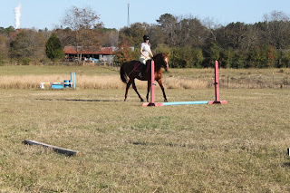 Springstone Horses: Suppleness - Using a Jumping Exercise to Improve ...