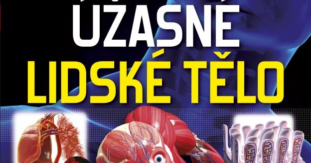 Česká škola: Úžasné lidské tělo