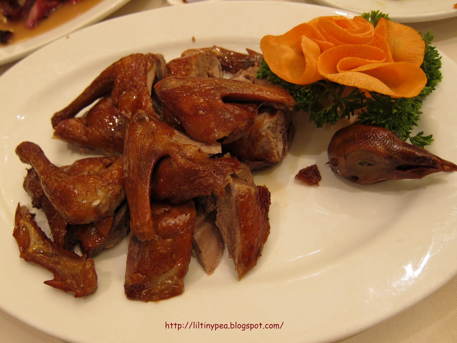 Mama pigeon and her chicks made their home in a flowerbox outside my ...