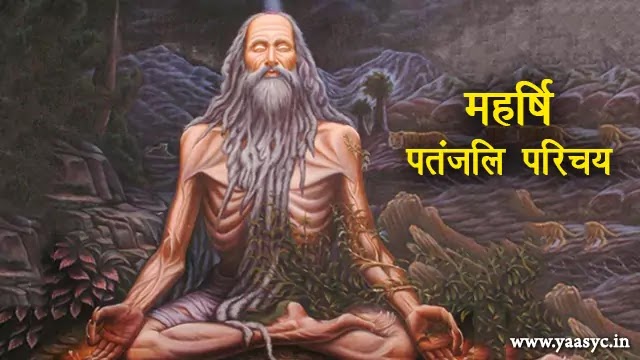 मयूरासन की विधि लाभ सावधानियां | Mayurasana Kaise Kare | मयूरासन के फायदे