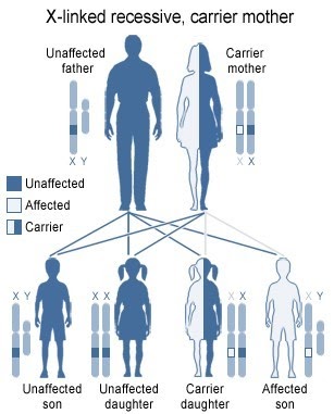 Genetic Awareness Program on Glucose 6 Phosphate Dehydrogenase ...