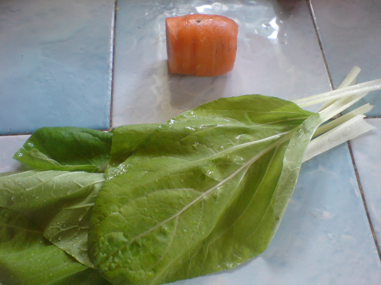 à la as: Apollo noodle - mine apollo