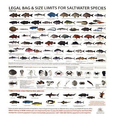 Sydney fish identification chart HD