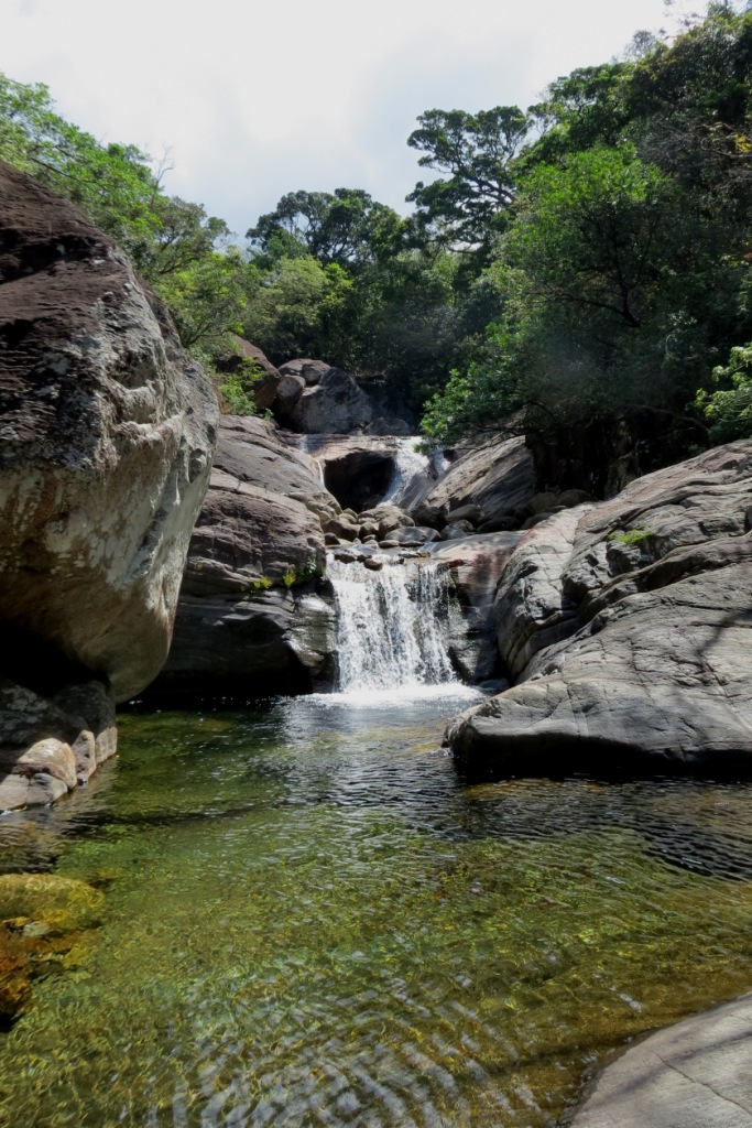 harithacharika - Travelling Nature in Sri Lanka: Knuckels - Meemure
