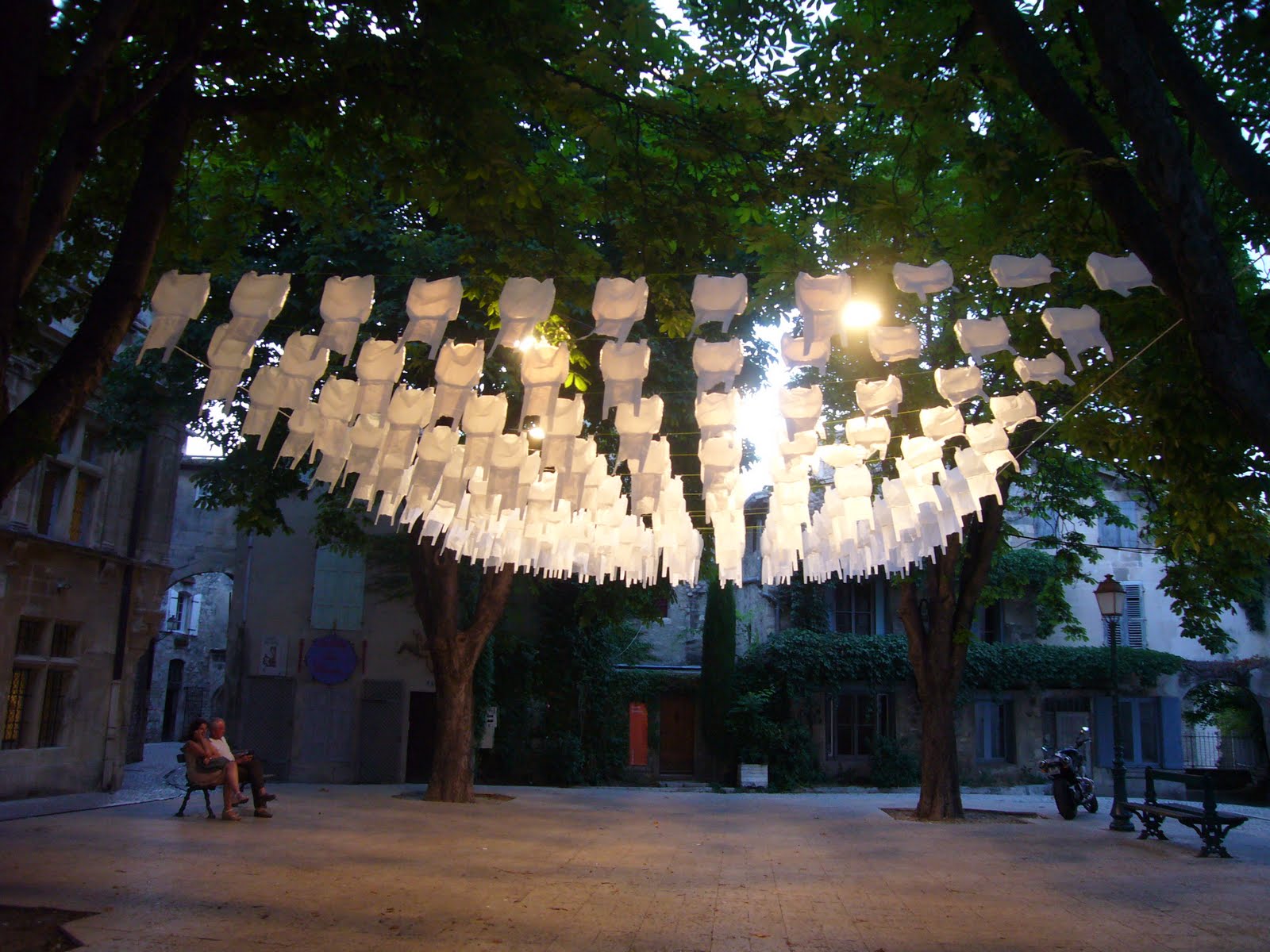 Jacques Salles: la canopée blanche festival APART 2011