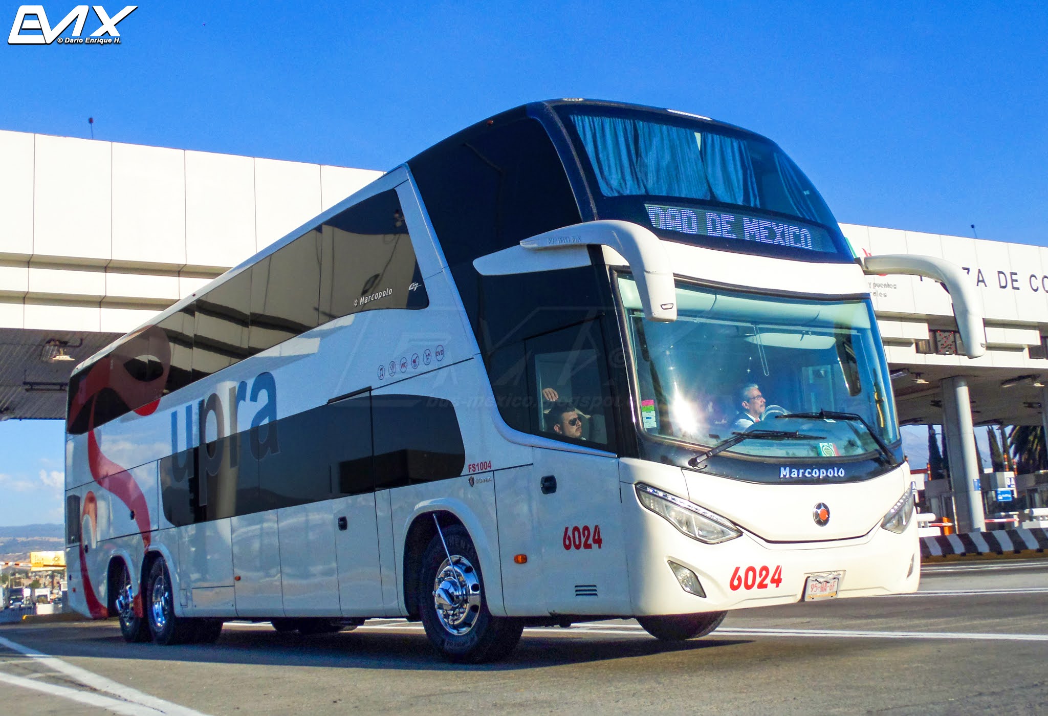Autobuses Rápidos del Altiplano: Supra - Bus-México