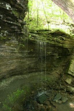 Arkansas in the Civil War: Pig Trail Scenic Byway - Ozark National ...