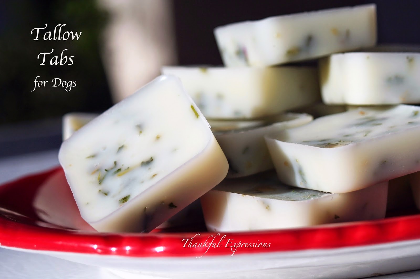 Thankful Expressions: 2014