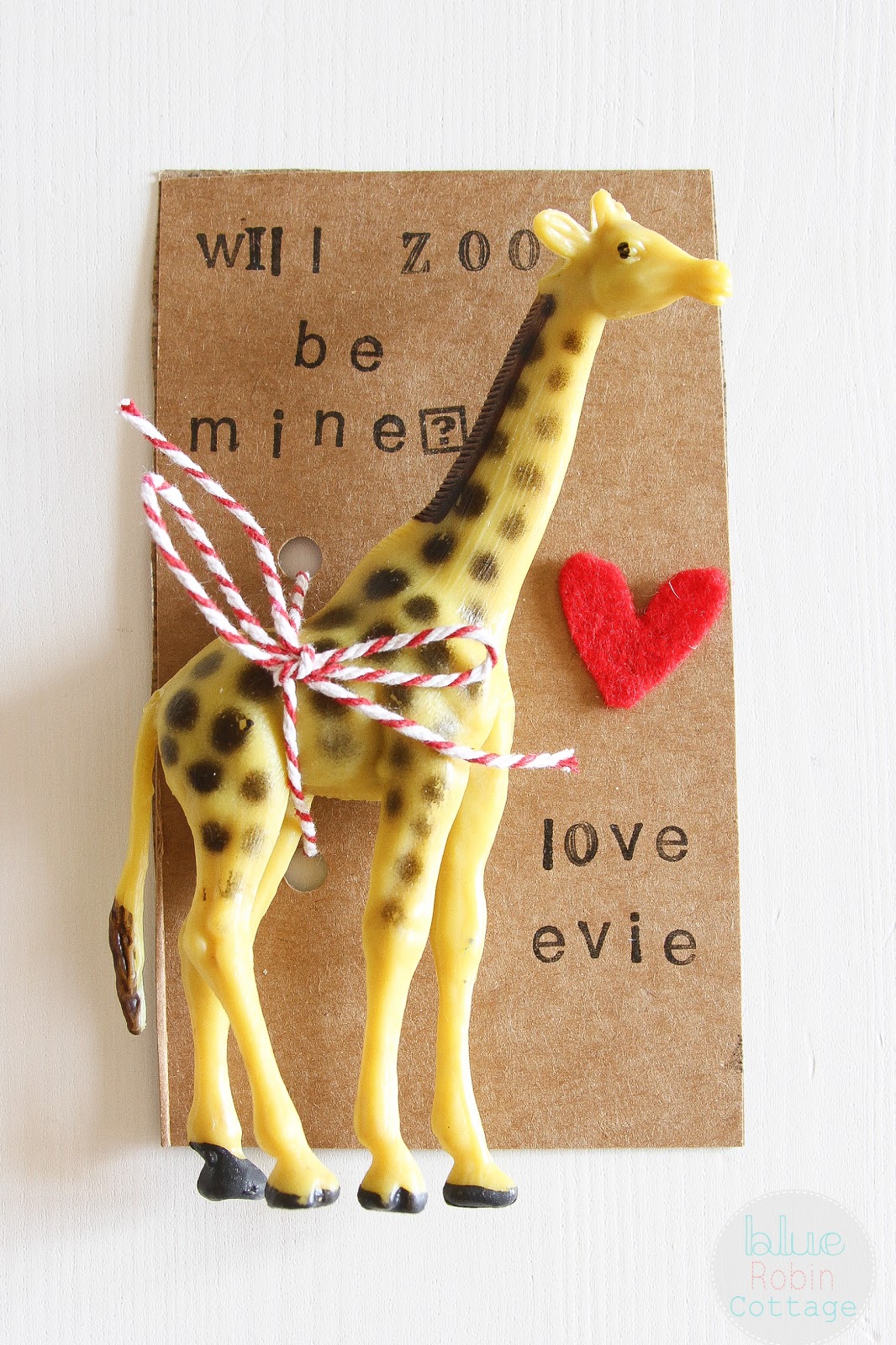 Blue Robin Cottage: Will Zoo Be Mine?