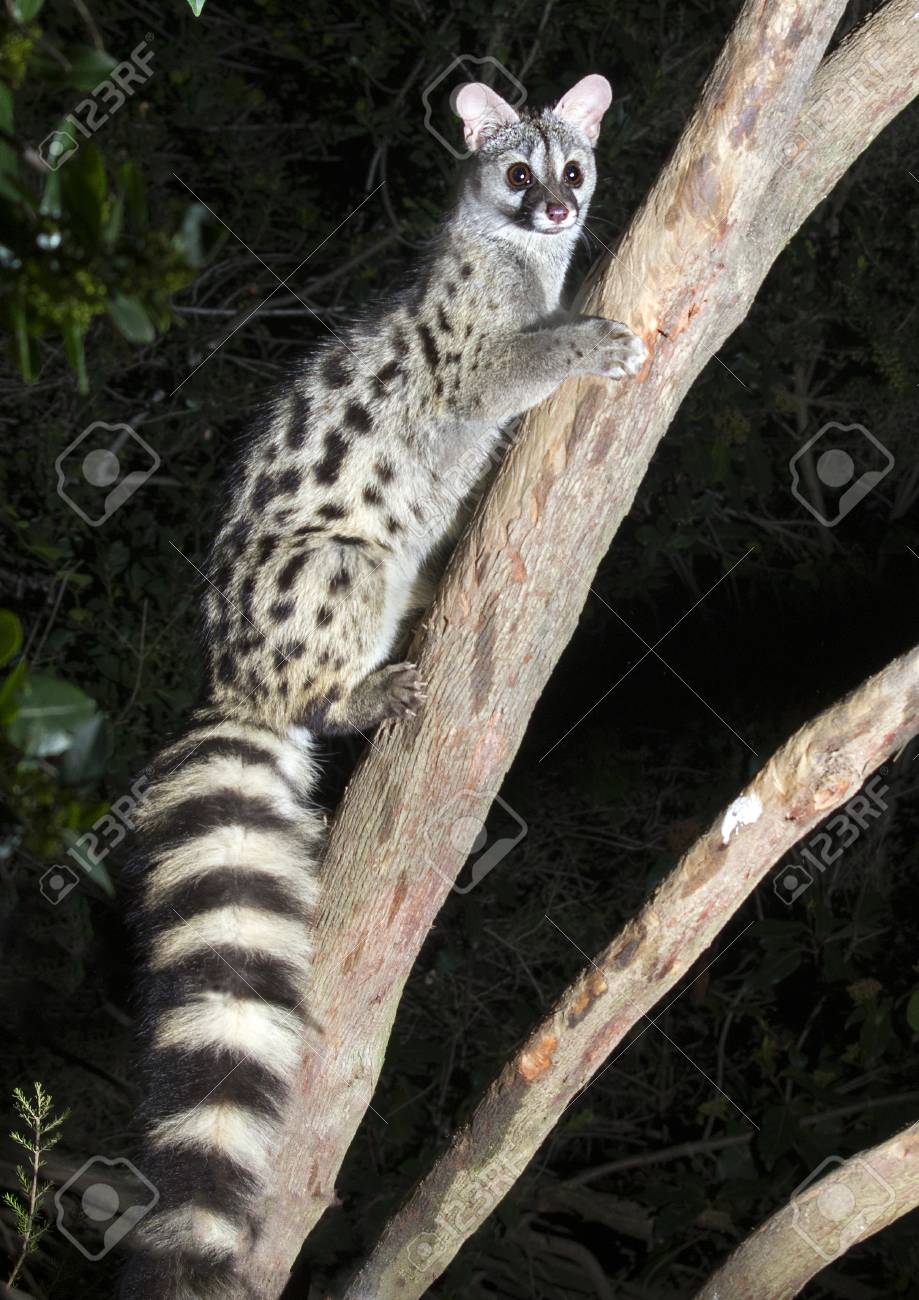 Quilt Art Design: June - block of the month