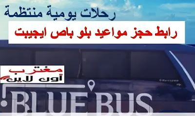 رابط حجز blue bus egypt بلو باص ايجيبت https://bluebus.com.eg
