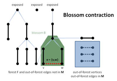 What is Blossom Algorithm - Explained - Code Cab