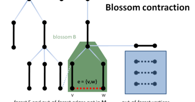 What is Blossom Algorithm - Explained - Code Cab