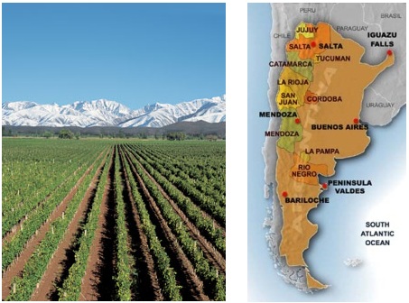 Begrudgingly BB: Malbecs of Argentina