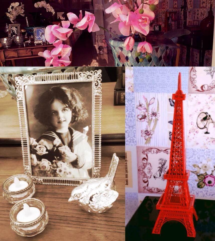 Luís Alves Notícias: Flor de Liz: a novidade que veio pra ficar.