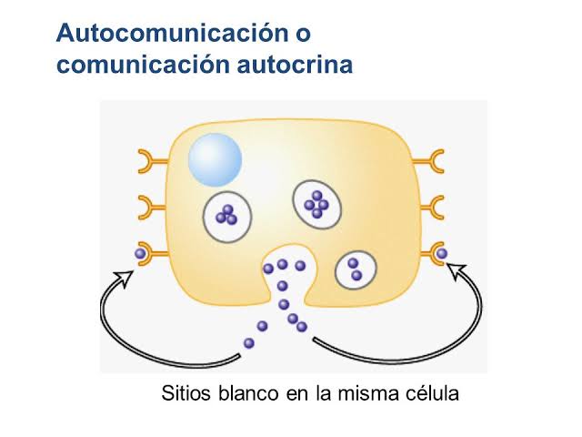 Biología celular : COMUNICACIÓN CELULAR