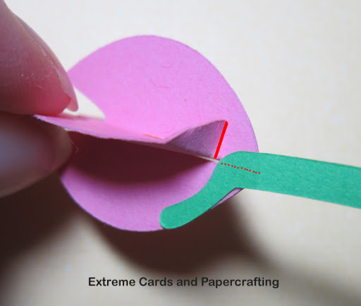Spring Tulips in a Basket