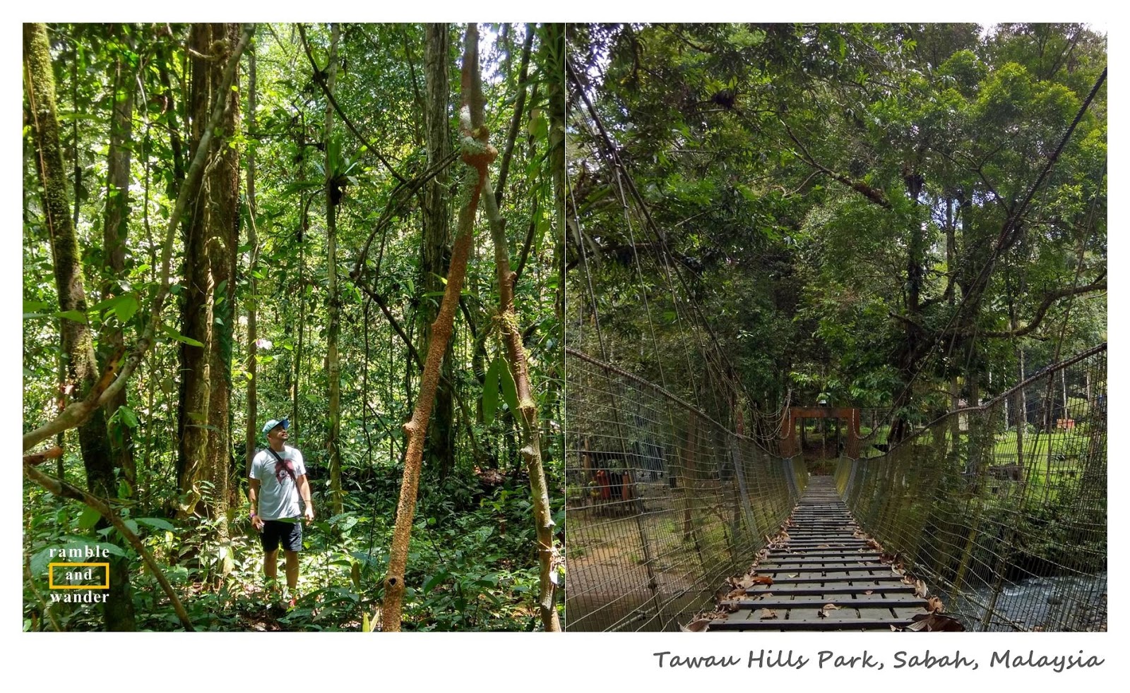 Malaysia: Top Things to Do and See in Tawau, Sabah - Ramble and Wander