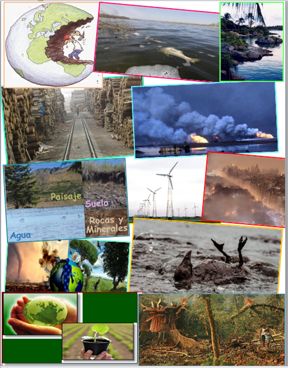 Medio Ambiente: Impacto positivo y negativo en la naturaleza y los ...