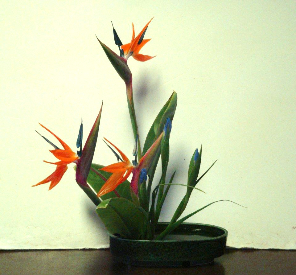 ABOUT IKEBANA - MORIBANA & SHOKA STYLE | Florist for flower