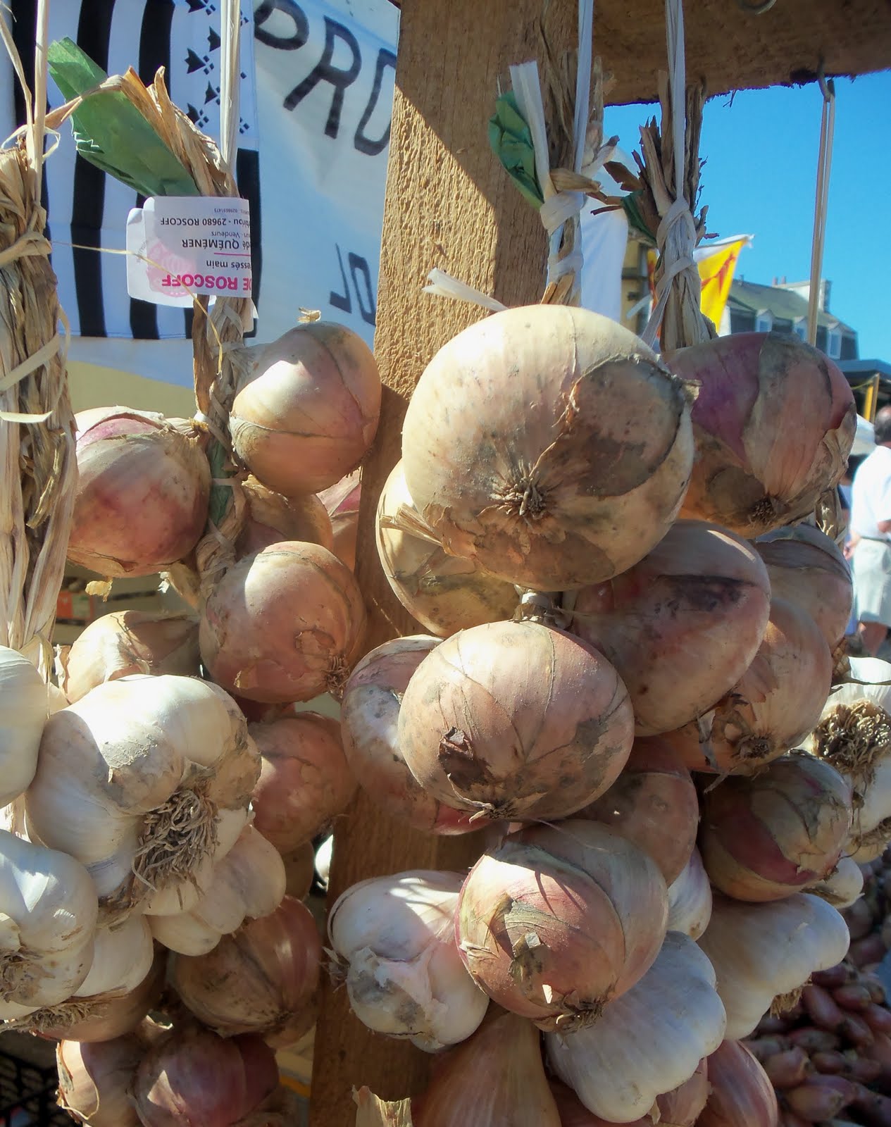 Looking for Johnny Onions: 2011